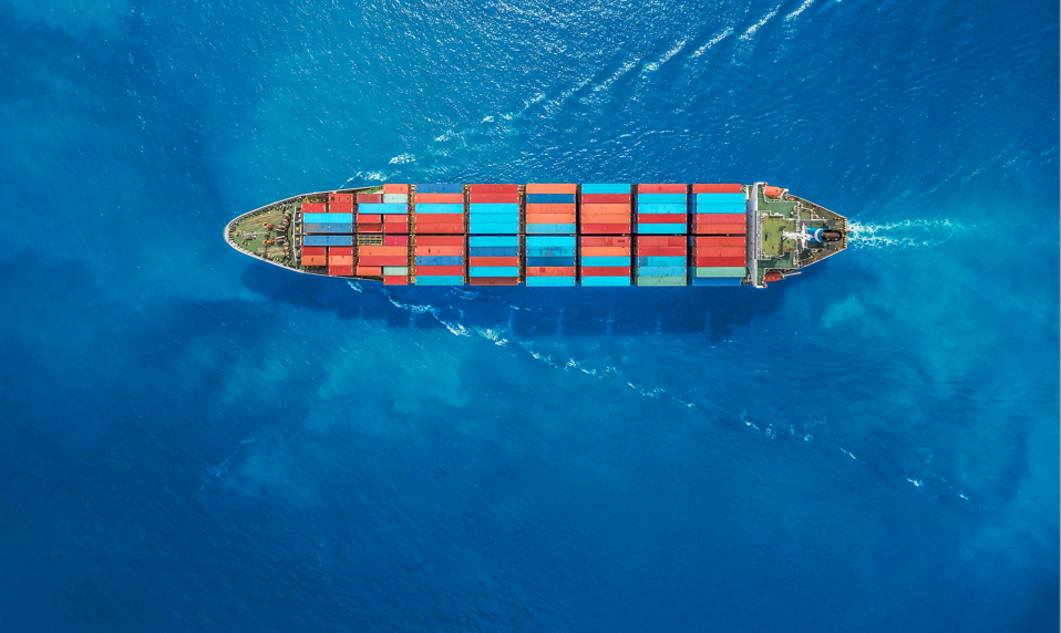 Global Trade Issues & ROI calculation | FIRMSconsulting